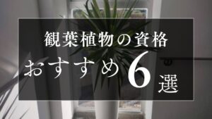 観葉植物の資格おすすめ6選｜初心者〜プロまで徹底比較【2026年版】 | Takez Plants