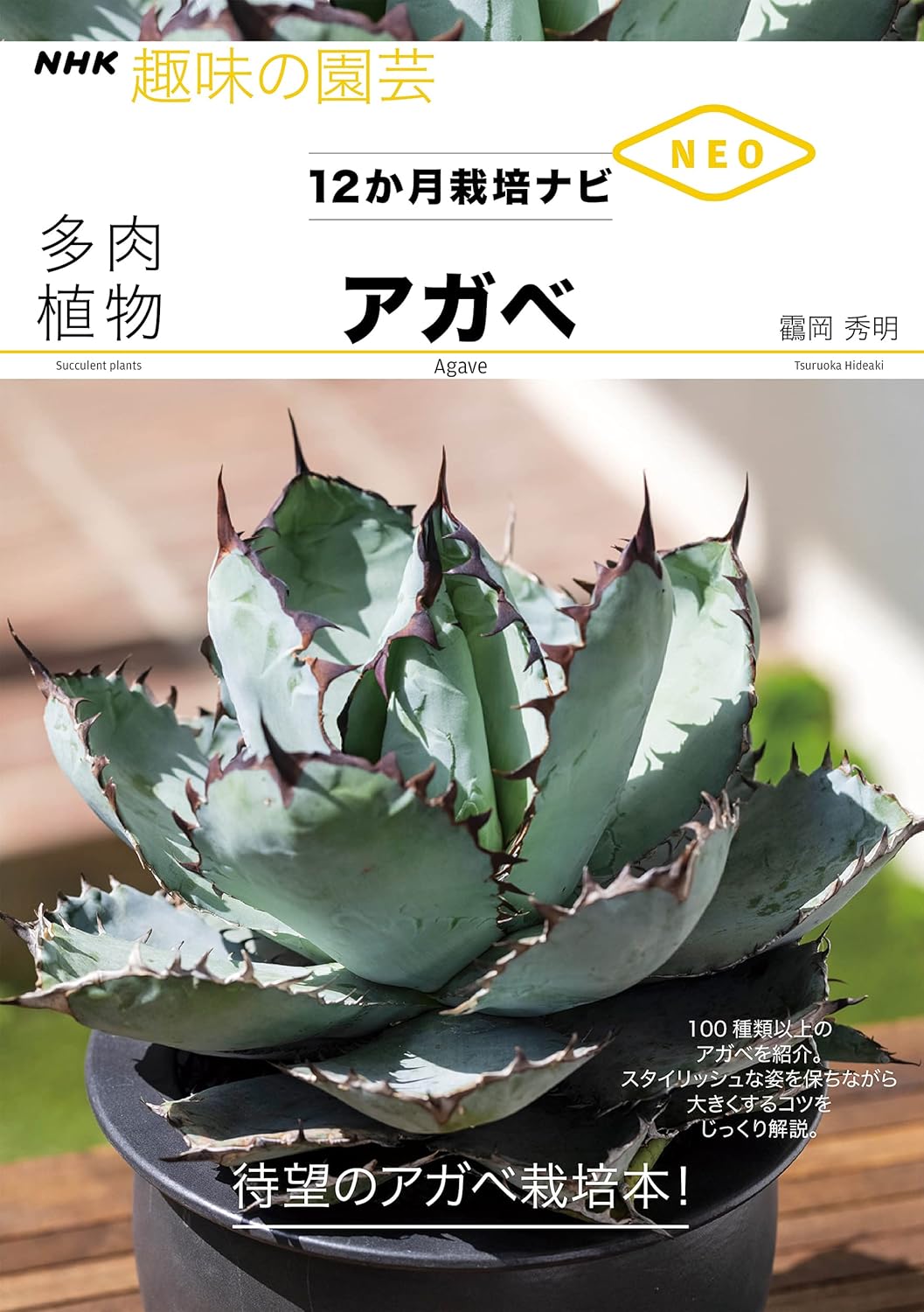 『多肉植物 アガベ（NHK趣味の園芸）』レビュー｜初心者も失敗しない12か月栽培ナビの決定版！ | Takez Plants